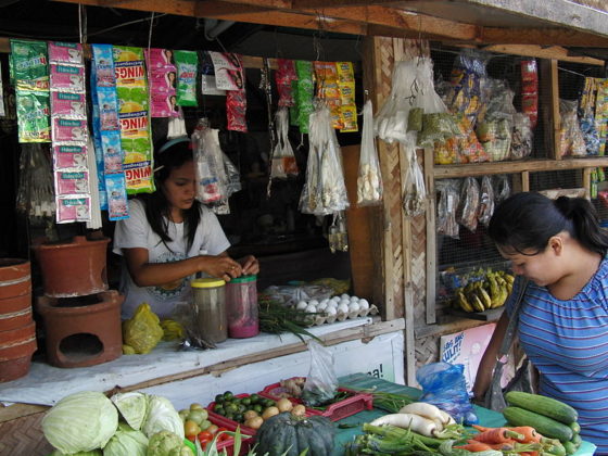 Best Low-Capital Business Ideas In Rural Philippines