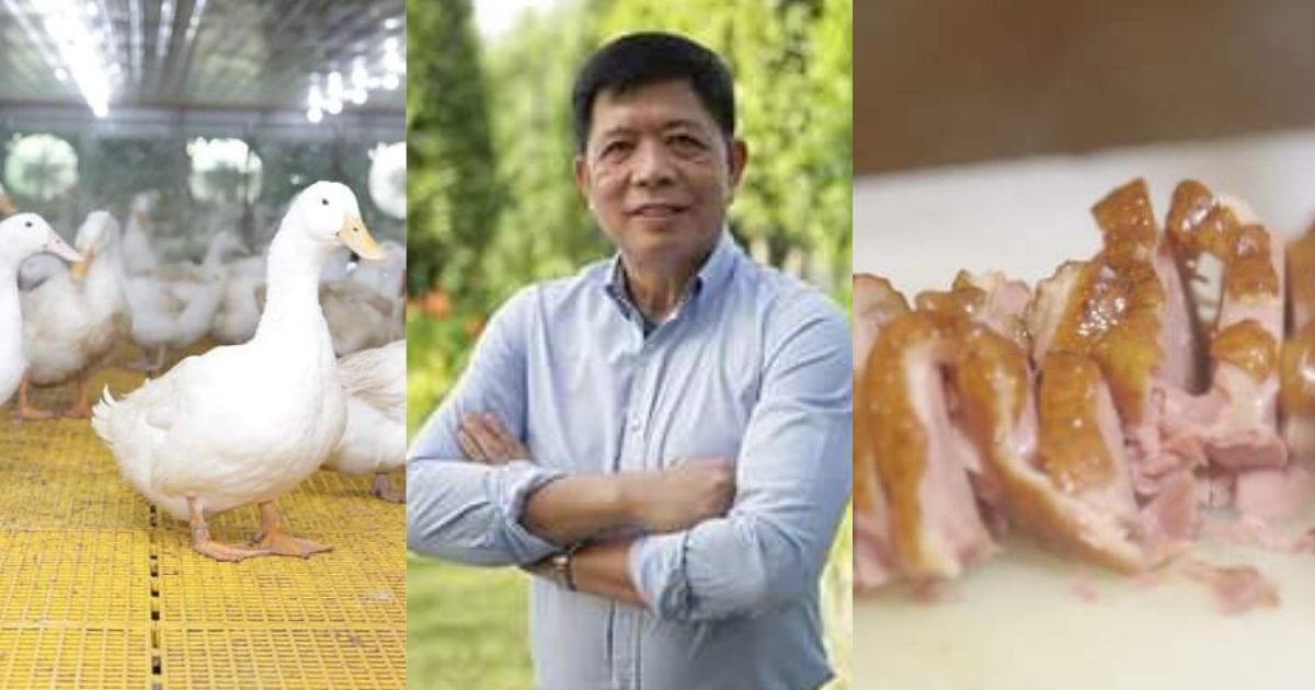 Former Construction Worker, Now Owns One Of PH's Biggest Pekin Duck Farm