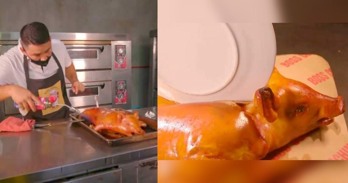 Cochinillo Business That Started From P4,000 Capital, Now Earning 6 ...