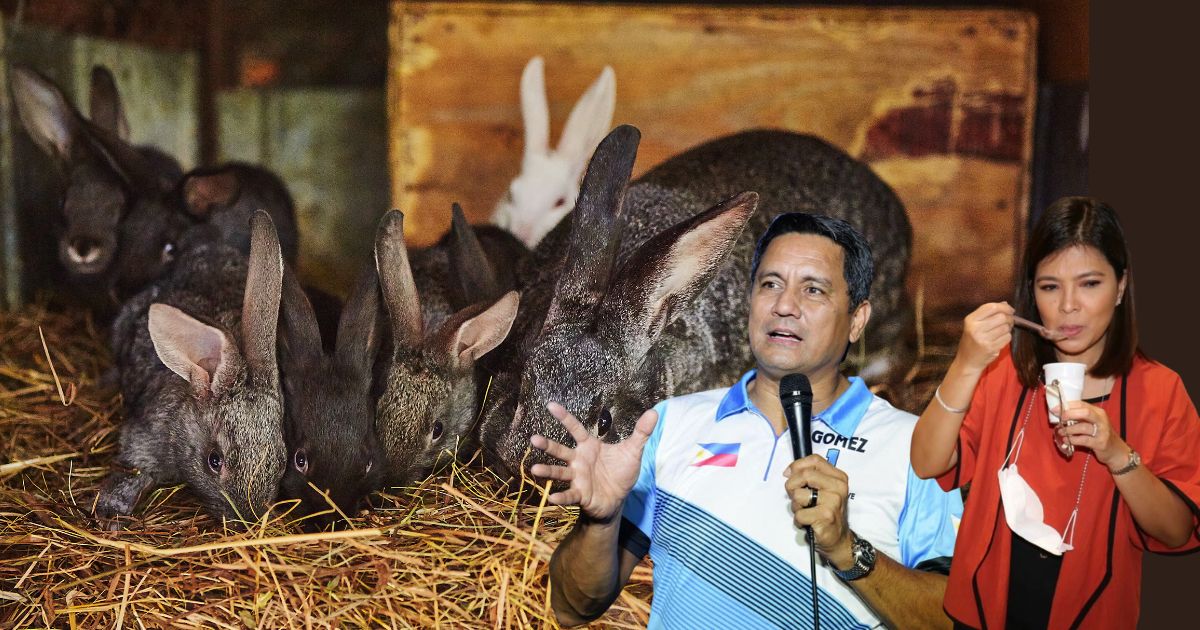 Lani Mercado & Richard Gomez Promote Rabbit Farming As Sustainable ...